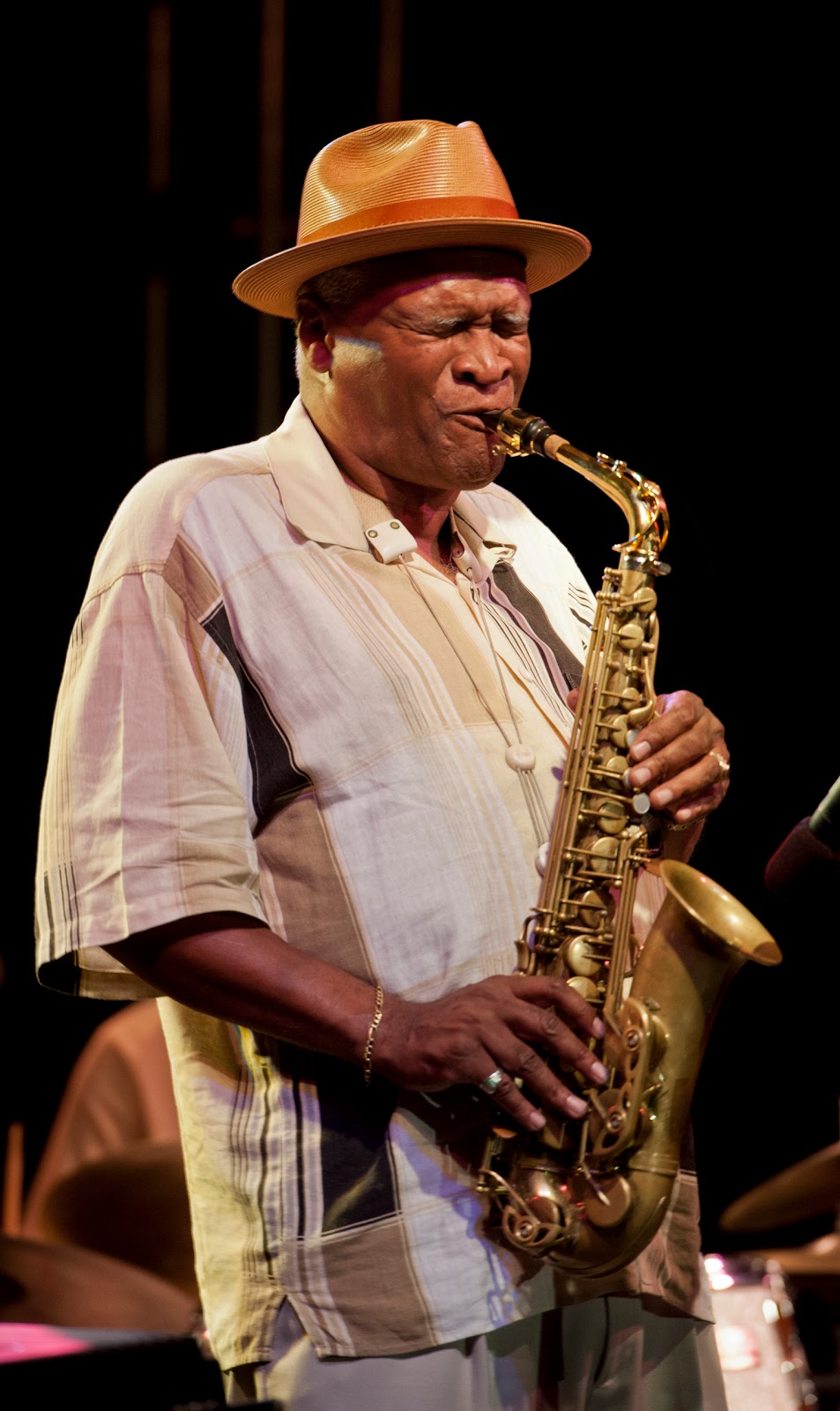 kcjazzlark: In Lieu of 1000 Words: 2012 Prairie Village Jazz Fest, Part 2