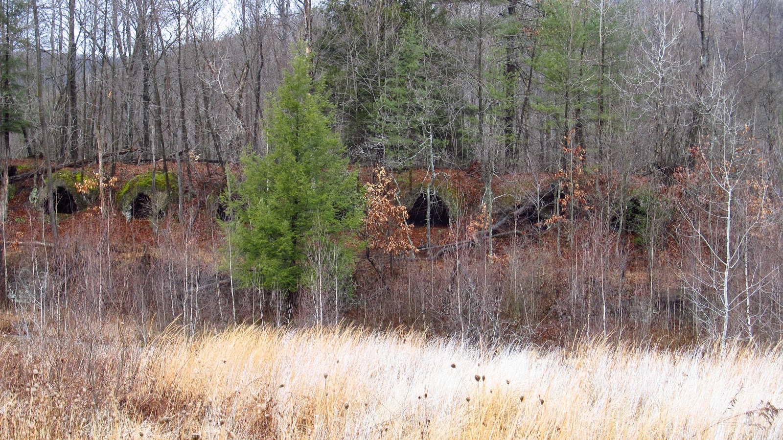Old Industry of Southwestern Pennsylvania : Tyler Coke Works-Tyler, PA