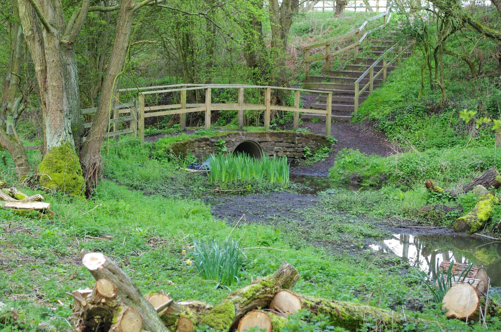 Out & About: Brinsley Headstocks