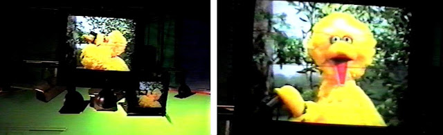 Big Bird Bridge: The Amazing Adventures of Elmo and Zoe