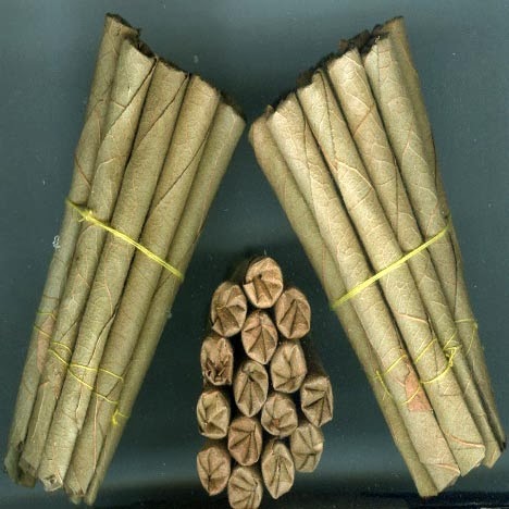 Kaja Beedi Logo