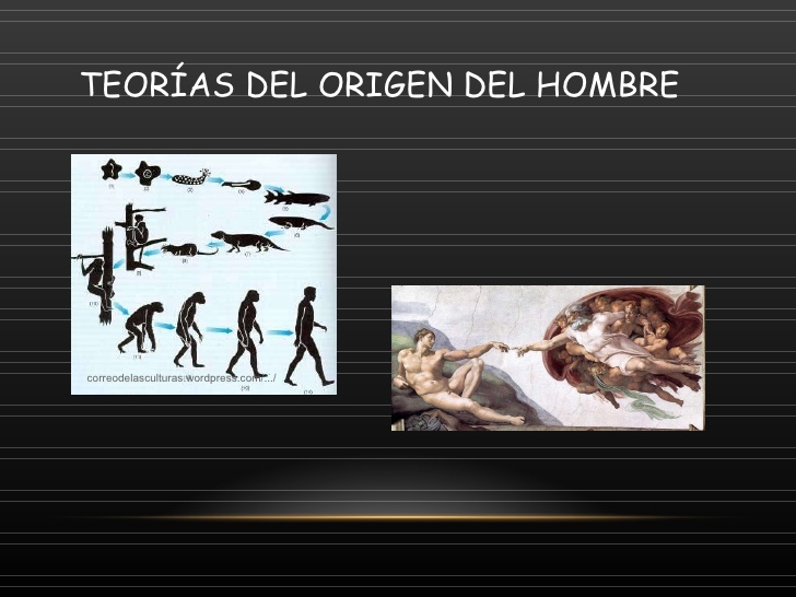 Historia con Alexandra: Teorías sobre el origen del hombre