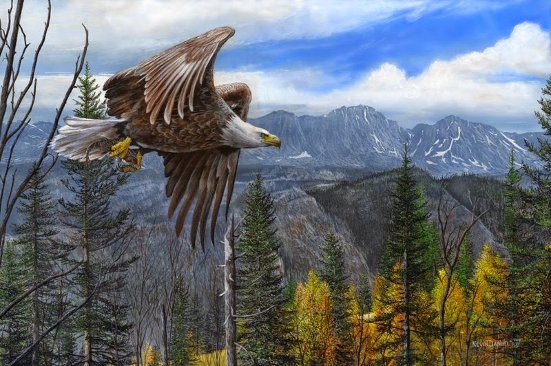 D.W.C. Animals Life - Painter Kevin Daniel - DANCE WITH COLORS