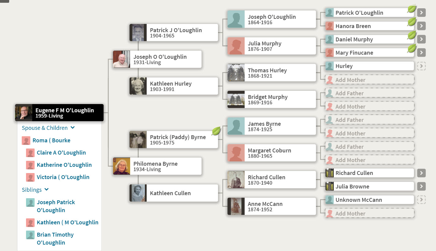 Careful With That Axe, Eugene: Locating my Cullen Great-Grandparents ...