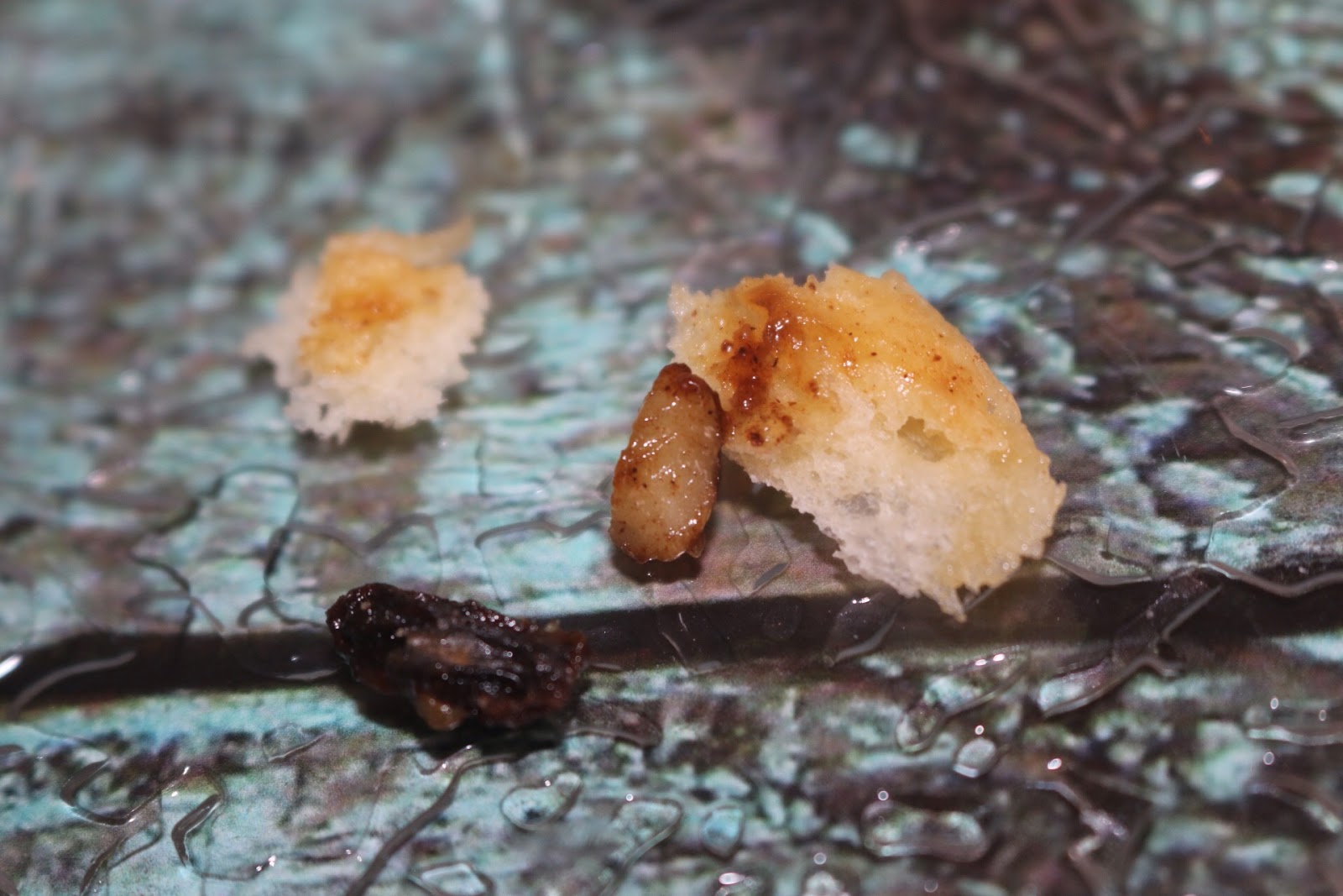 All That's Left Are The Crumbs: Christmas Morning Crown ~ #Twelve Loaves