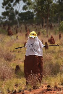 Richard Waring's Birds of Australia: Nyirripi and back - birds ...