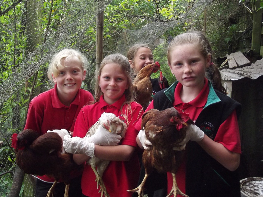 OPUA SCHOOL TUI GARDEN CHALLENGE 2012
