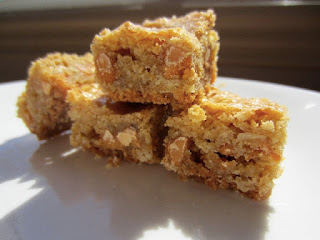 The Baker's Nuts: Oatmeal Scotchie Bars