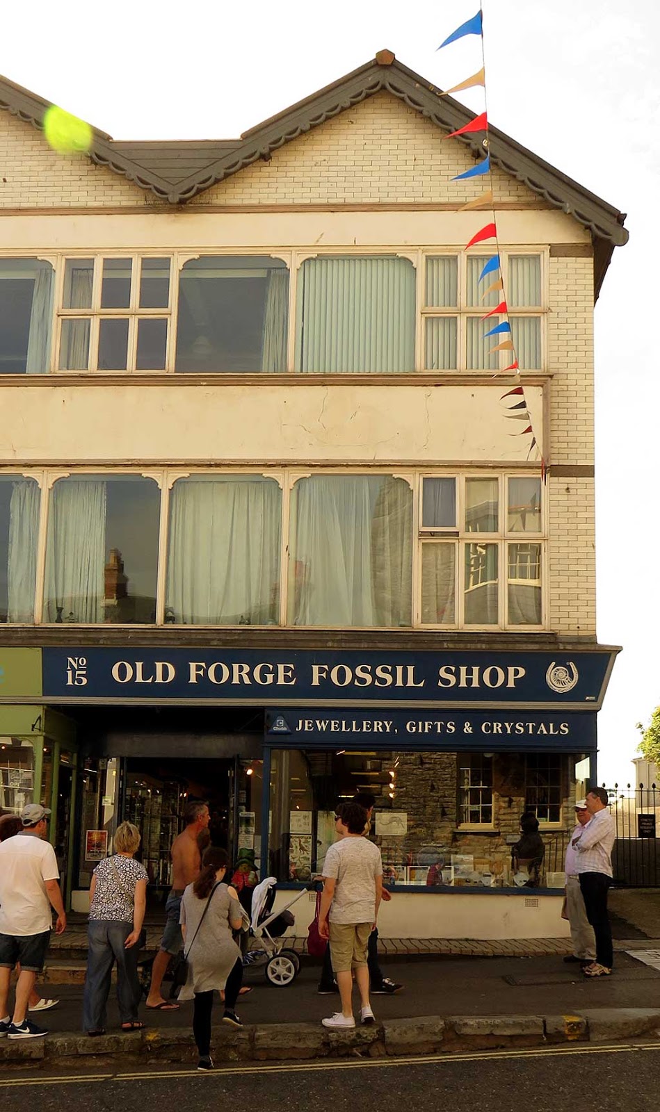 Louisville Fossils and Beyond: Unidentified Ammonite Fossil