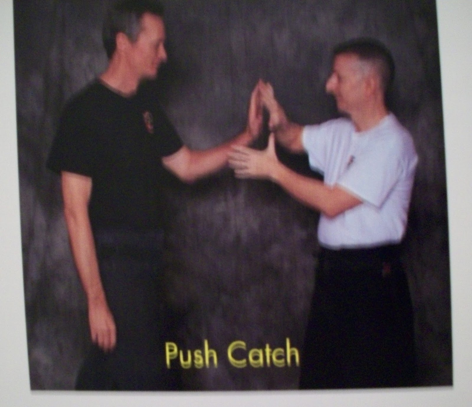 Tuite Jutsu (Personal training/teaching methodologies in Te): The 6 ...