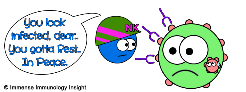 Immense Immunology Insight: Functions of antibodies simplified