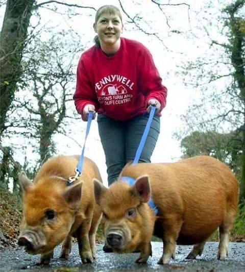 Rarest Pets in The World [13 Pics] | ALL PHOTOZ