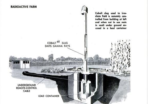 Found Out About Chemistry: How does your atomic garden grow?