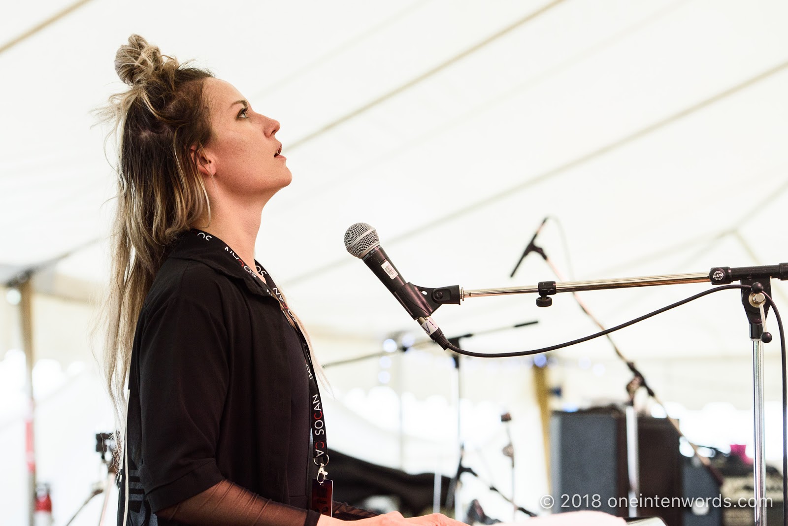 one in ten words: Hillside 2018: Day 3: Jessicka - Concert Photos