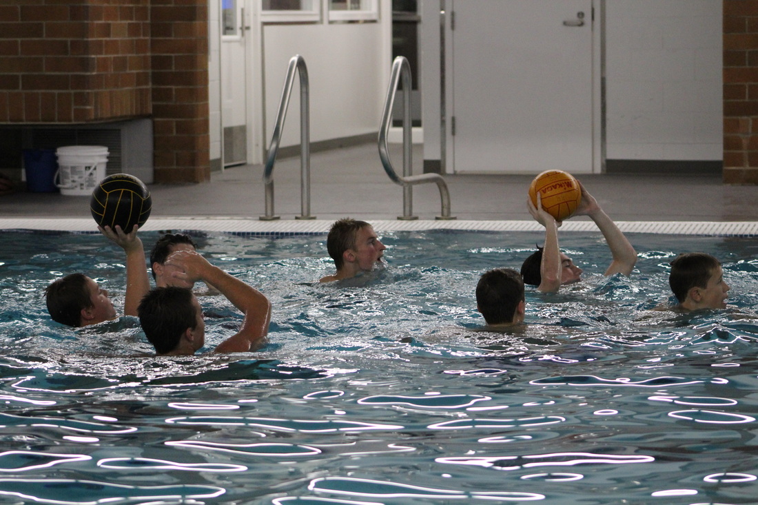 Ms. Oshiro's Class: Introductory to Water Polo Training