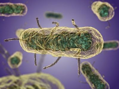 Sacerdotus: 09/01/2014 - 10/01/2014