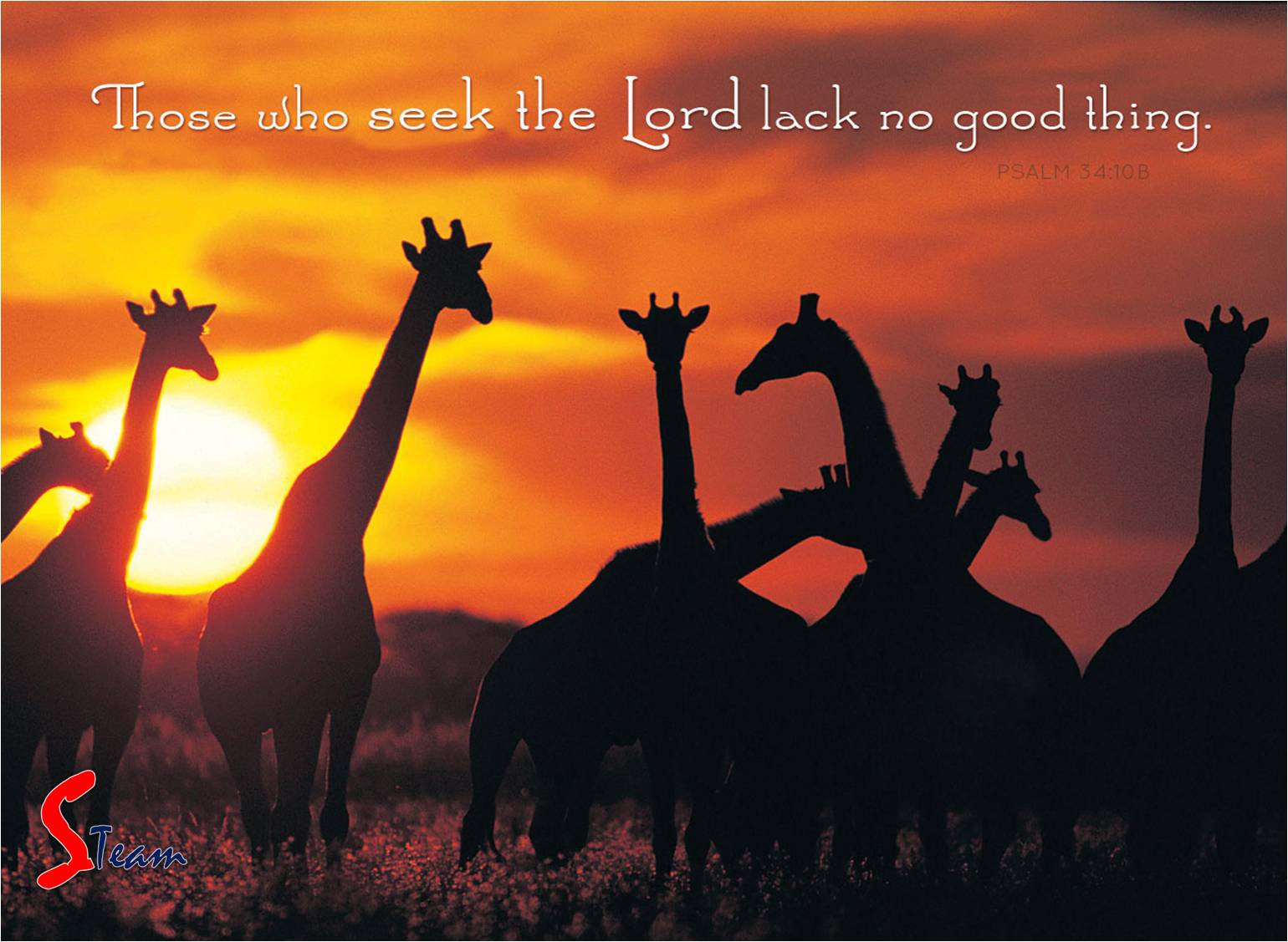 God's Amazing Messengers ~ The Christian Messenger