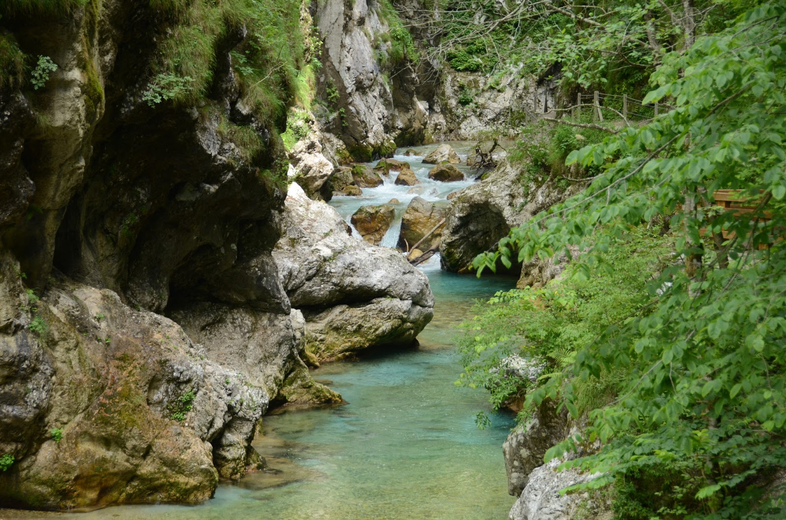 cergol.valter: julij 2013