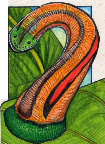 ZooTrophy Animal-a-Day Database: Creature Feature #416: Leech