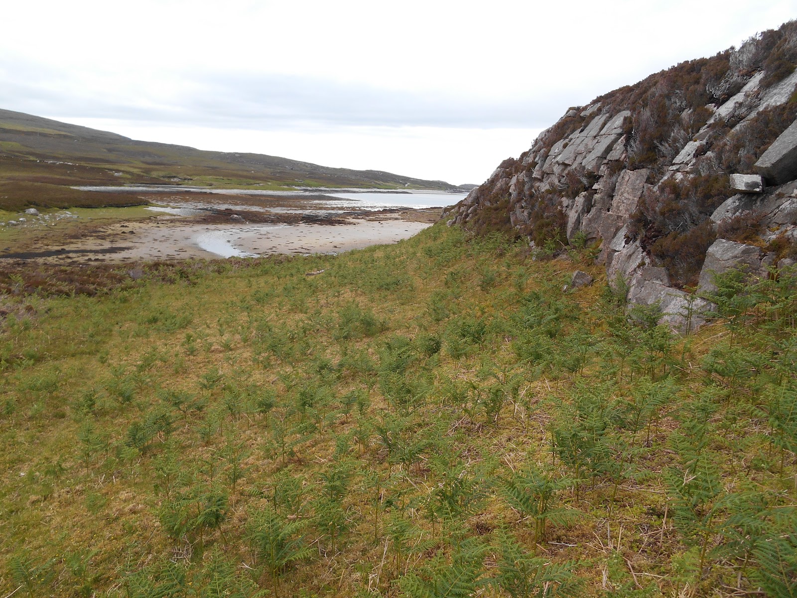 A lifetime of Islands: Island 283 - Eilean Dubh, Loch Eriboll, Highland
