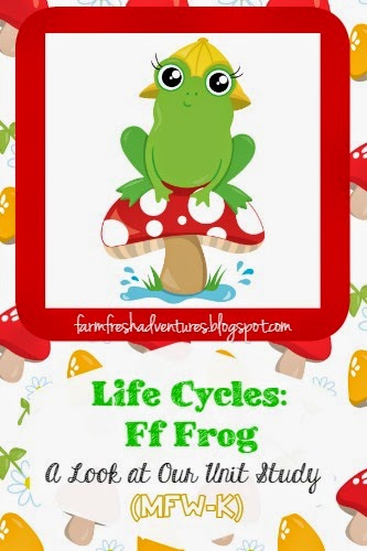 Farm Fresh Adventures: Life Cycles Part 2: Ff Frog