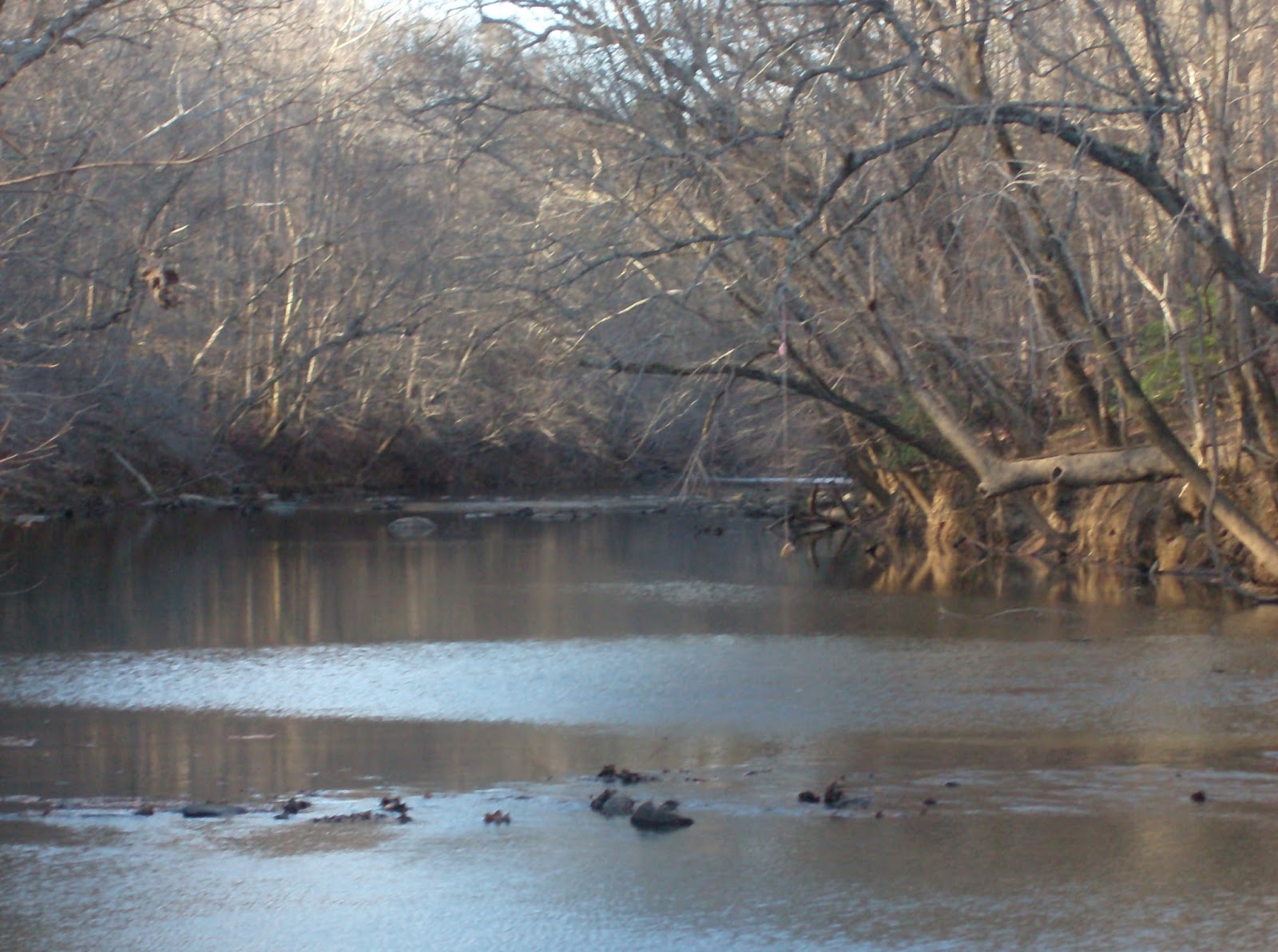 Job's Children: What Tale Can Land Records Tell?