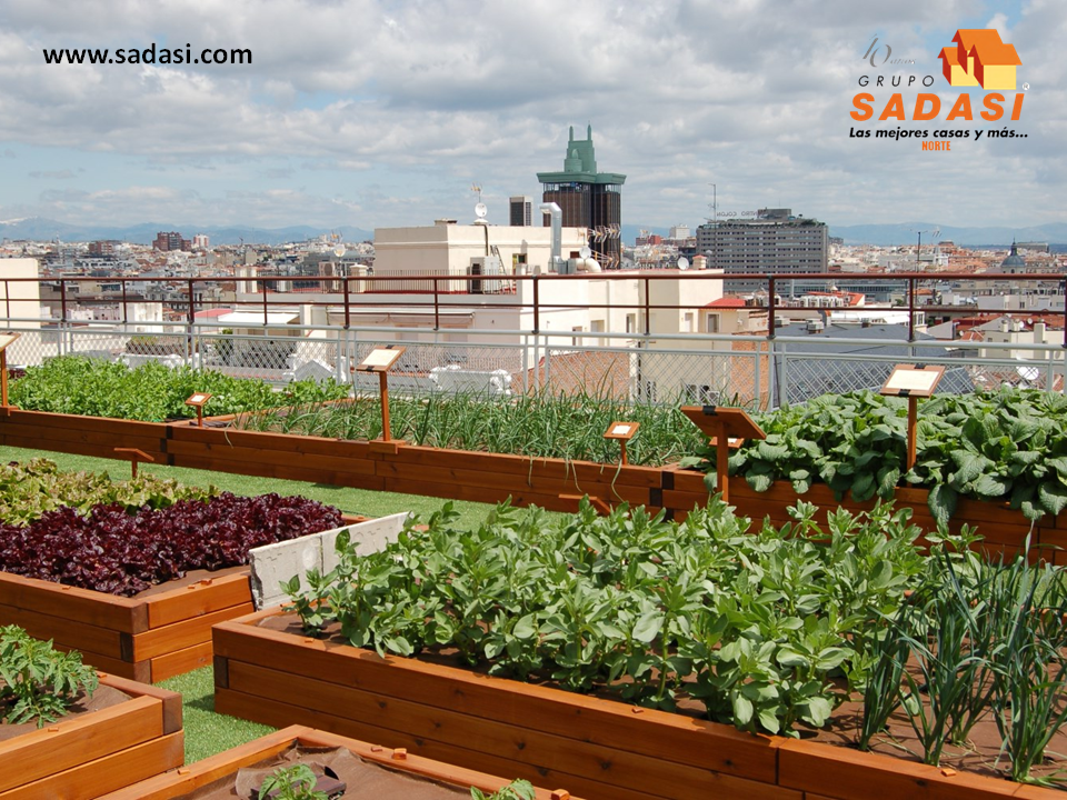 SADASI CORPORATIVO: APROVECHE LA AZOTEA DE SU HOGAR CON UN HUERTO