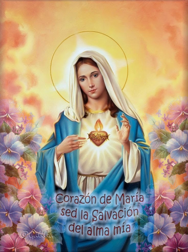 ® Blog Católico Gotitas Espirituales ®: IMÁGENES DEL INMACULADO CORAZÓN ...