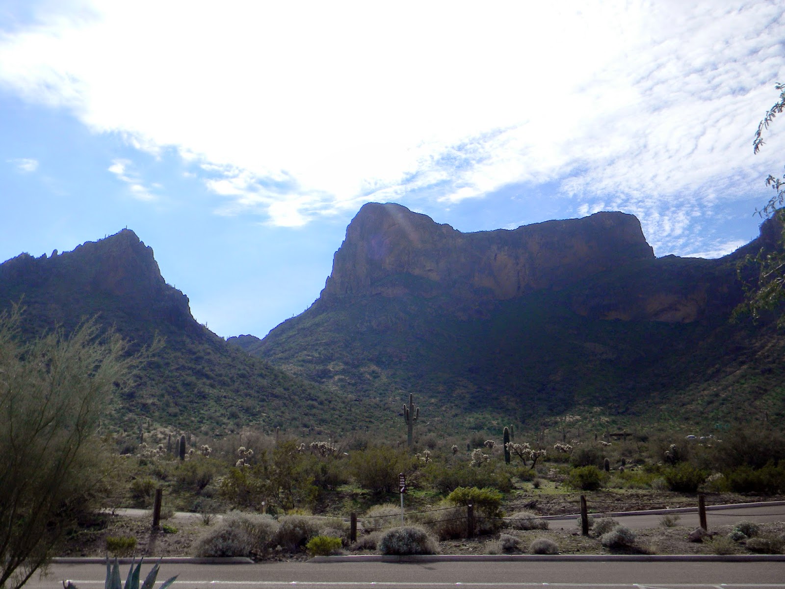 Battle at Picacho Peak