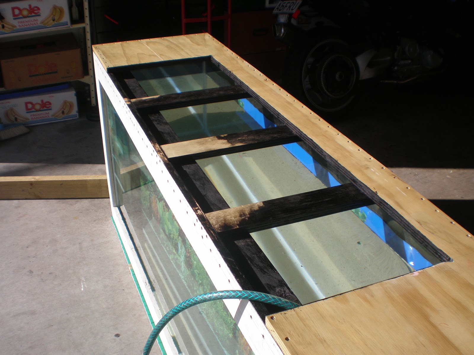 DIY Plywood Aquarium