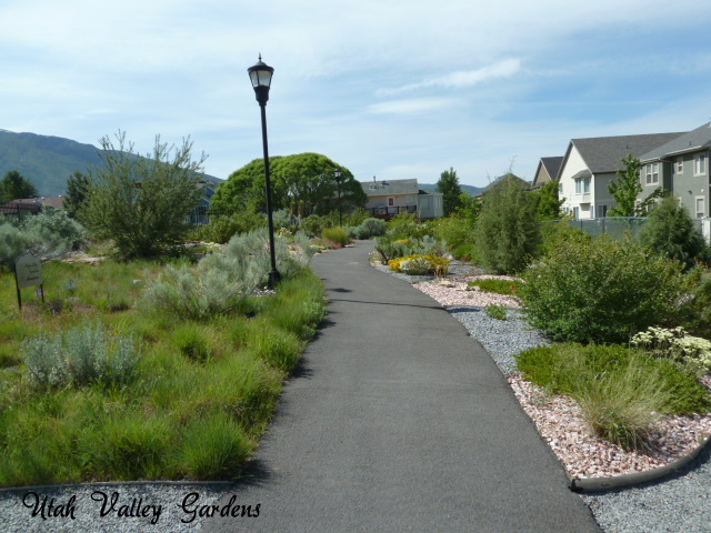 Utah Valley Gardens: Sego Lily Gardens