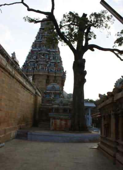 EshwartheGod: Ardhanareeswarar Temple, Tiruchengode