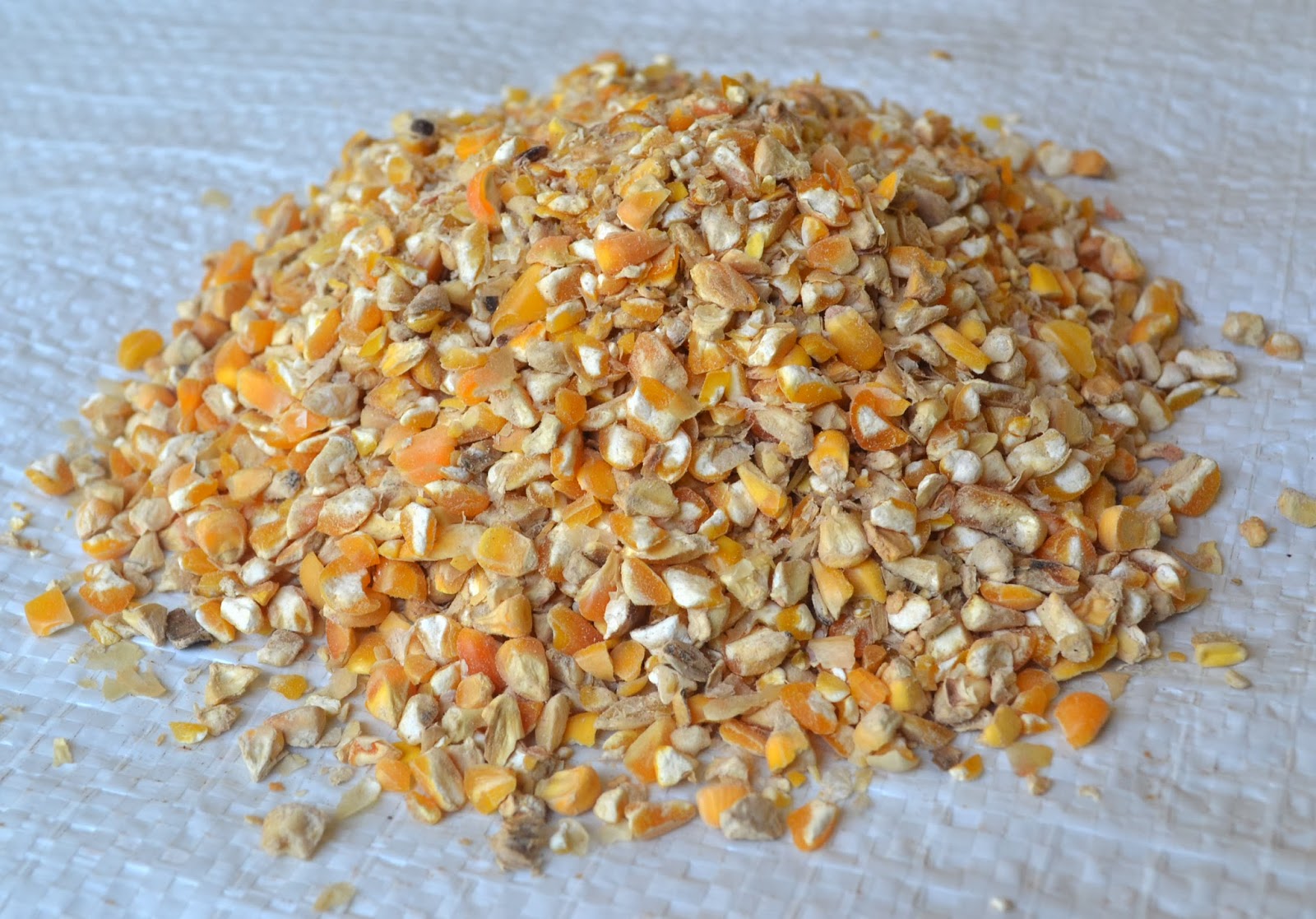 PD. CIPTA SARANA: JAGUNG GILING