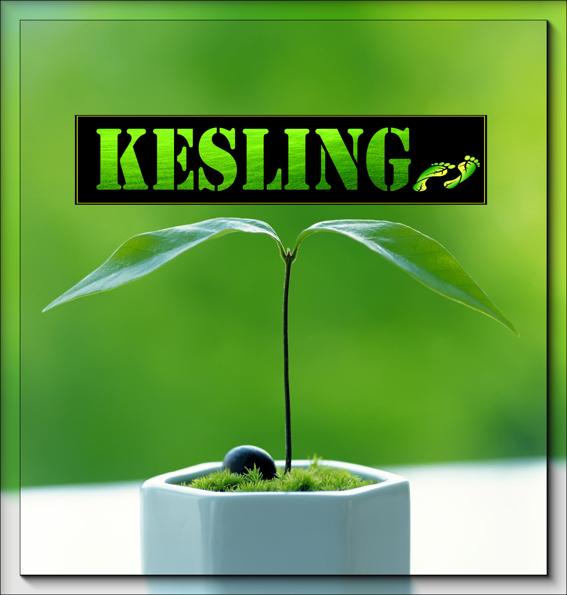 Kesling Kab. Bekasi: Sie. Penyehatan Lingkungan Kabupaten bekasi