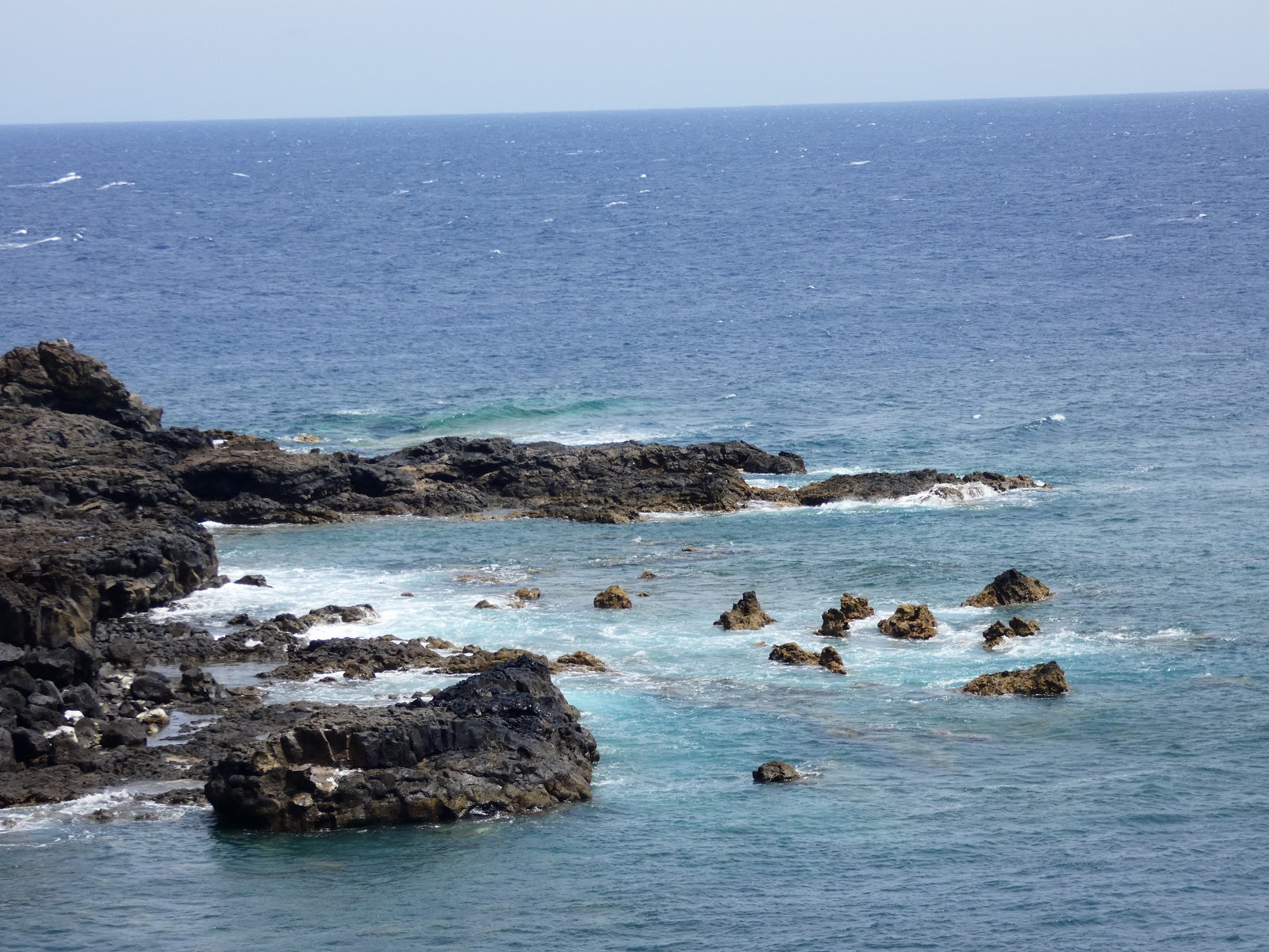 ENCANTO PALMERO: Paisajes Palmeros del Sur.