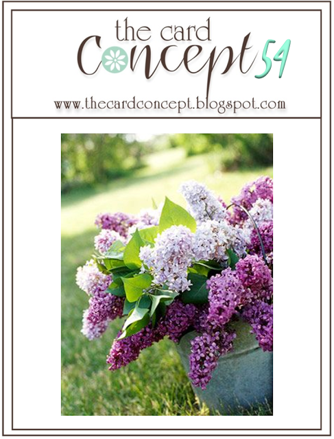 The Card Concept 54: