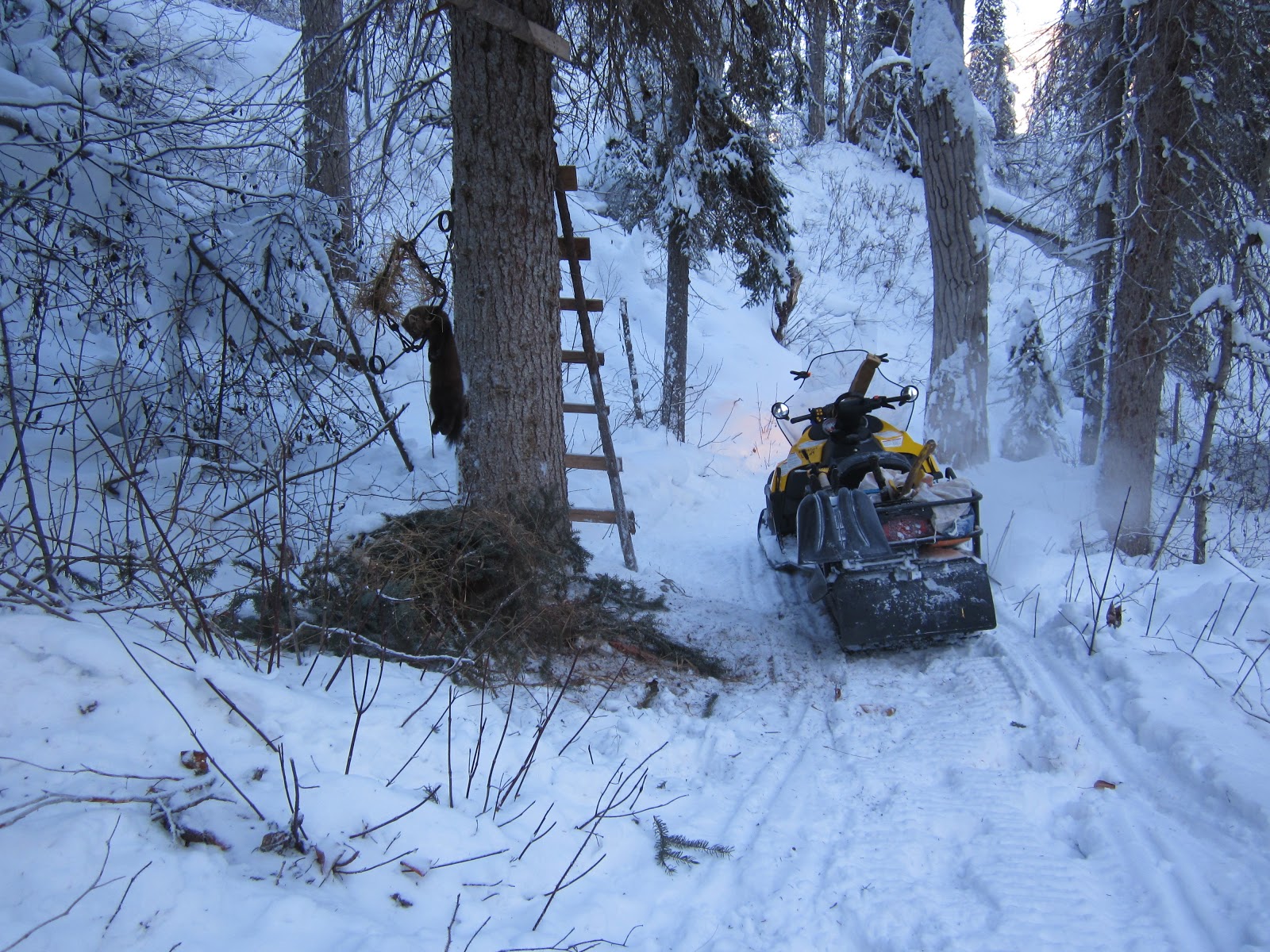 The Happy Trappers 2 Sixth Year: Christmas Eve.... Checking the trapline