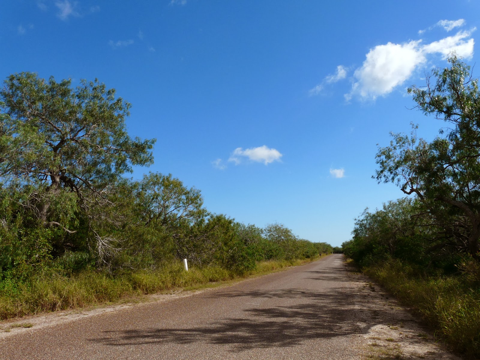 Archiving throughout Arizona, New Mexico, Oklahoma, and Texas: Laguna ...