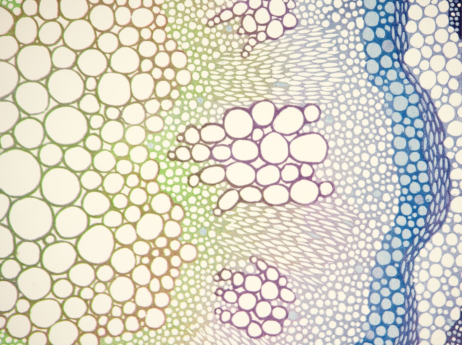 Elizabeth Busey. That Which Surrounds and Supports Us ( detail).