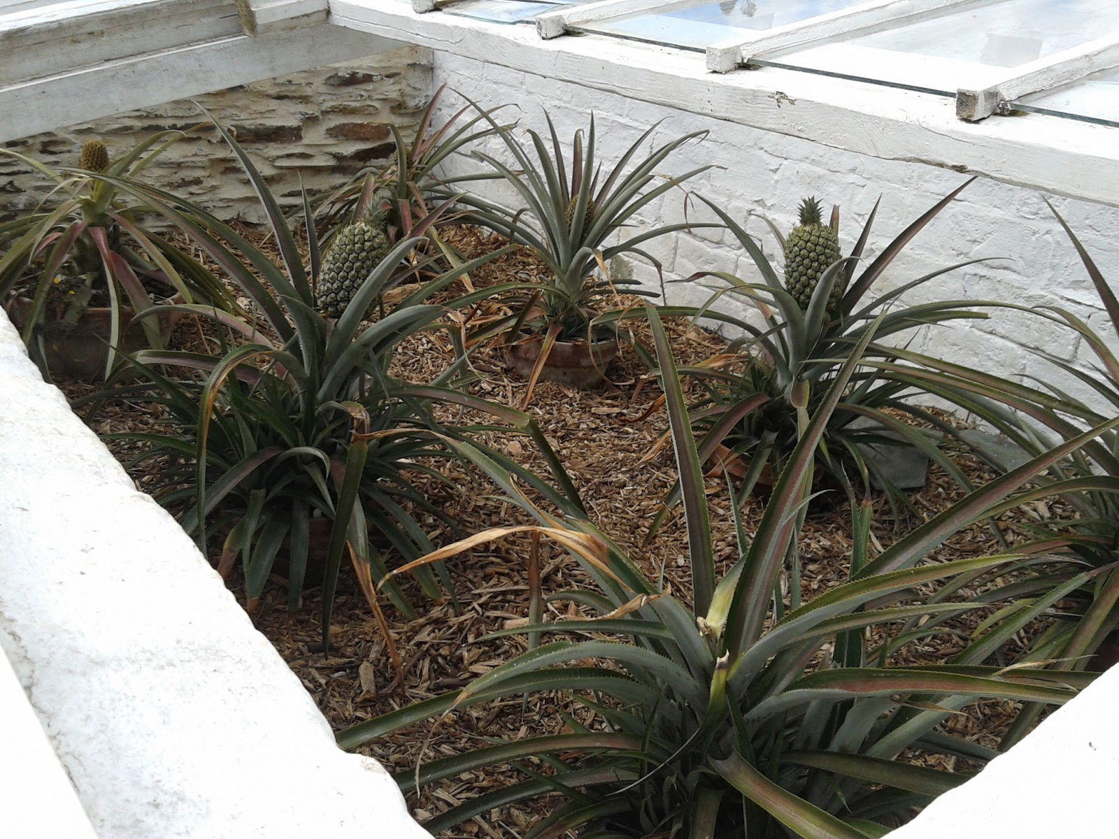 Museeme - A Celebration of Stuff in a Virtual World: The Lost Gardens ...