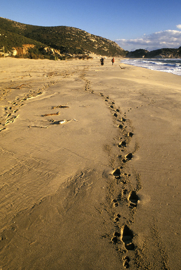 Beach Snaps by Paul Boocock