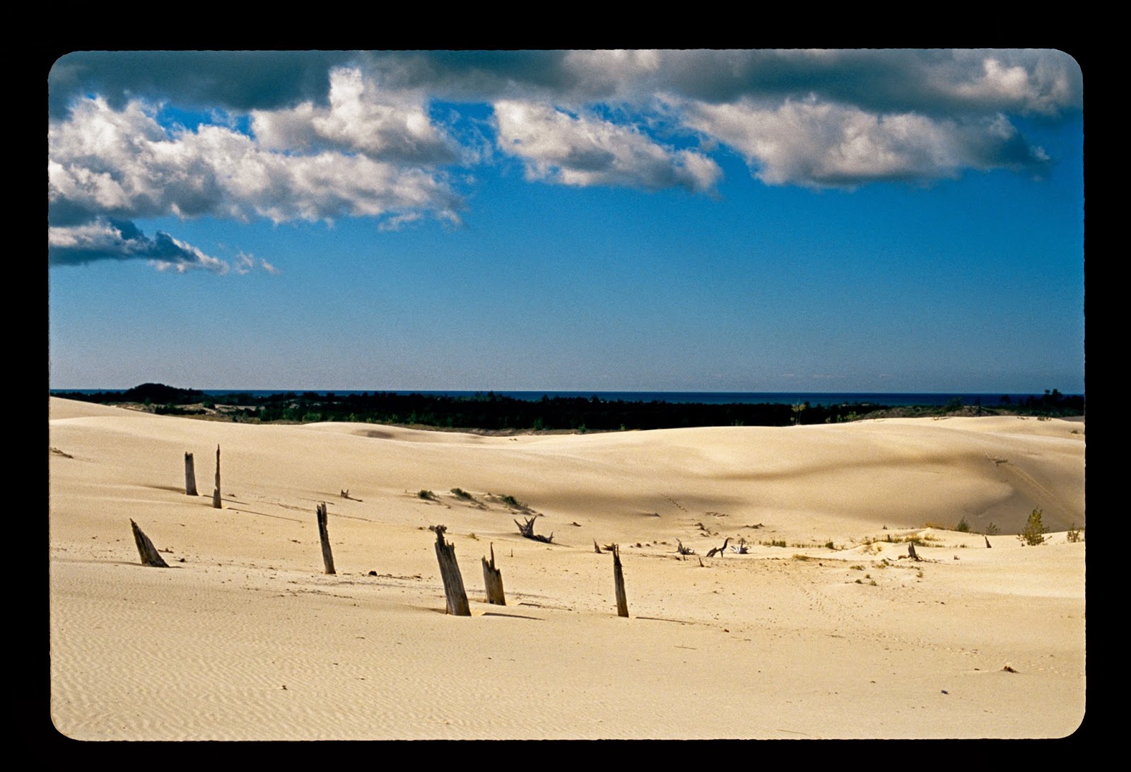 Robert Jones Photo: Desert Oasis?