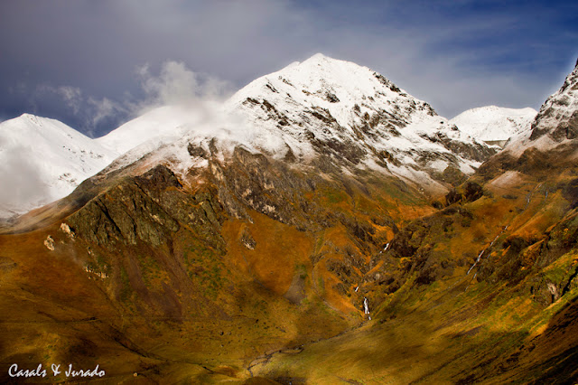 CRÒNIQUES NATURALISTES: 2011