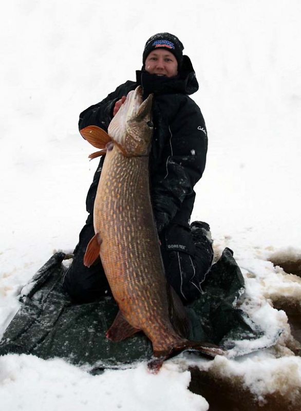 International Fishing News: SWEDEN: huge 51 inch pike from the ice