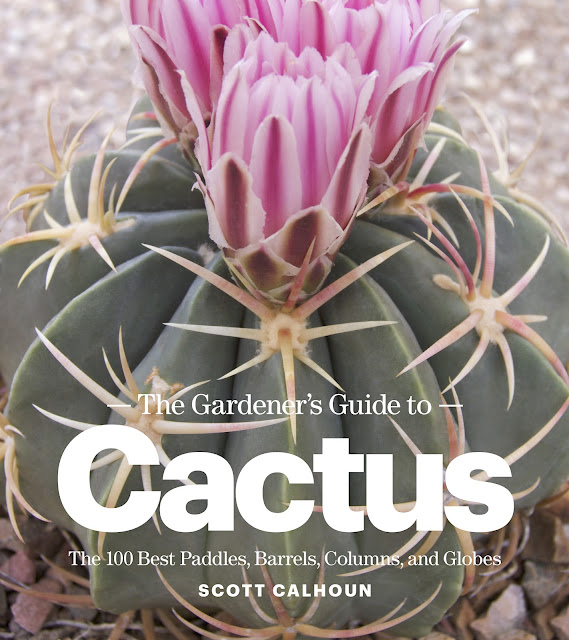 danger garden: The Gardener’s Guide to Cactus