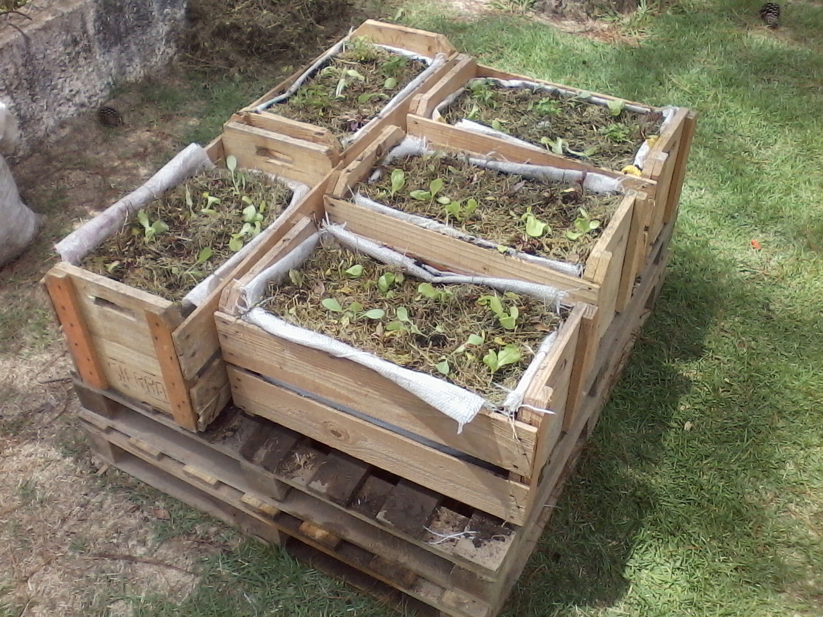 Projeto Horta Ecológica