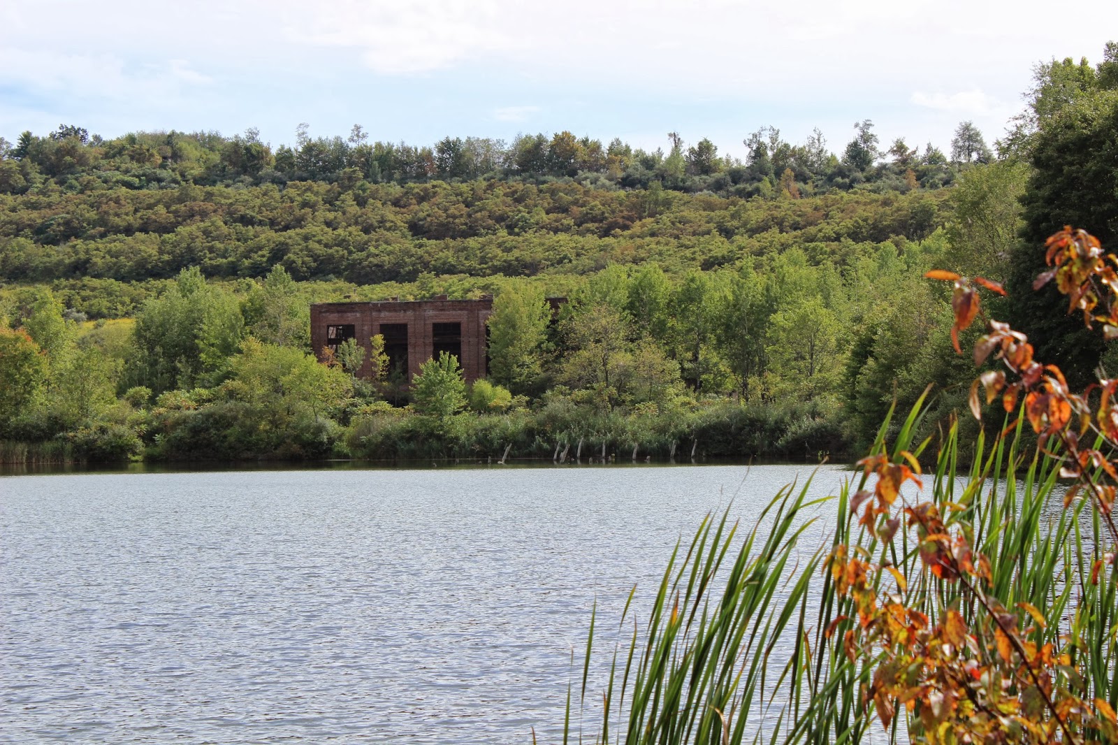 Discovery PA: Helvetia - Another mining ghost town