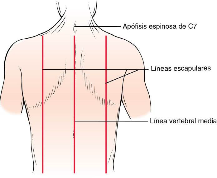 EXPLORACIÓN DE TÓRAX