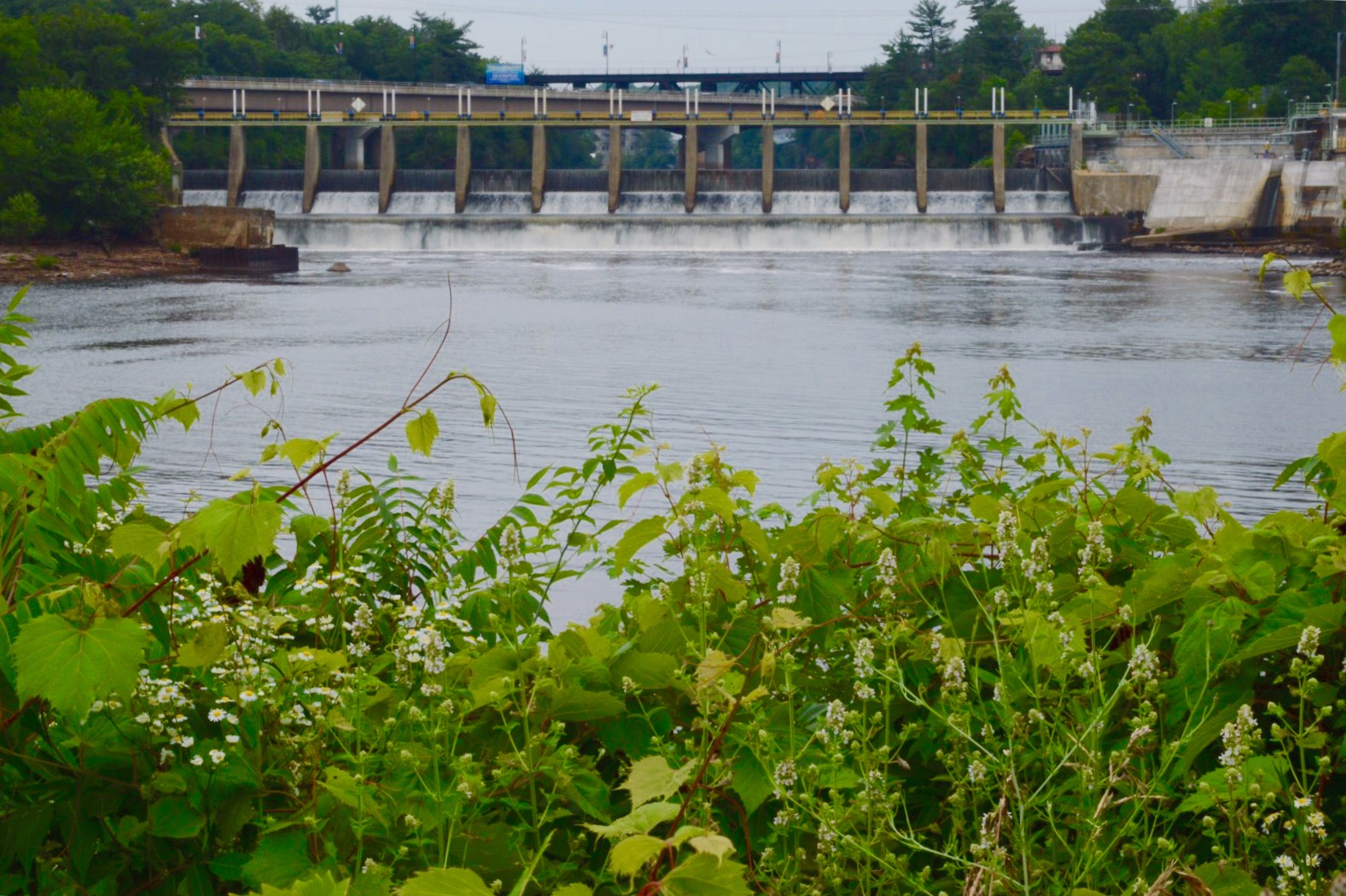 Our Unfiltered Life: The Wisconsin Dells