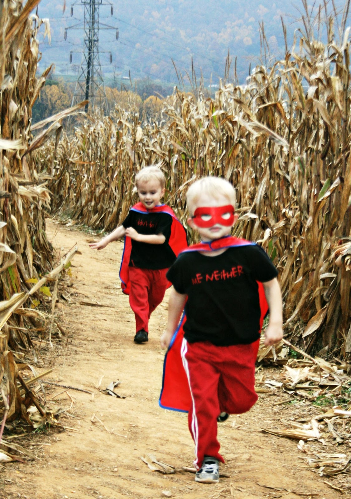 Two Bears Farm and the Three Cubs: The Pumpkin Patch - Jeter Farm ...